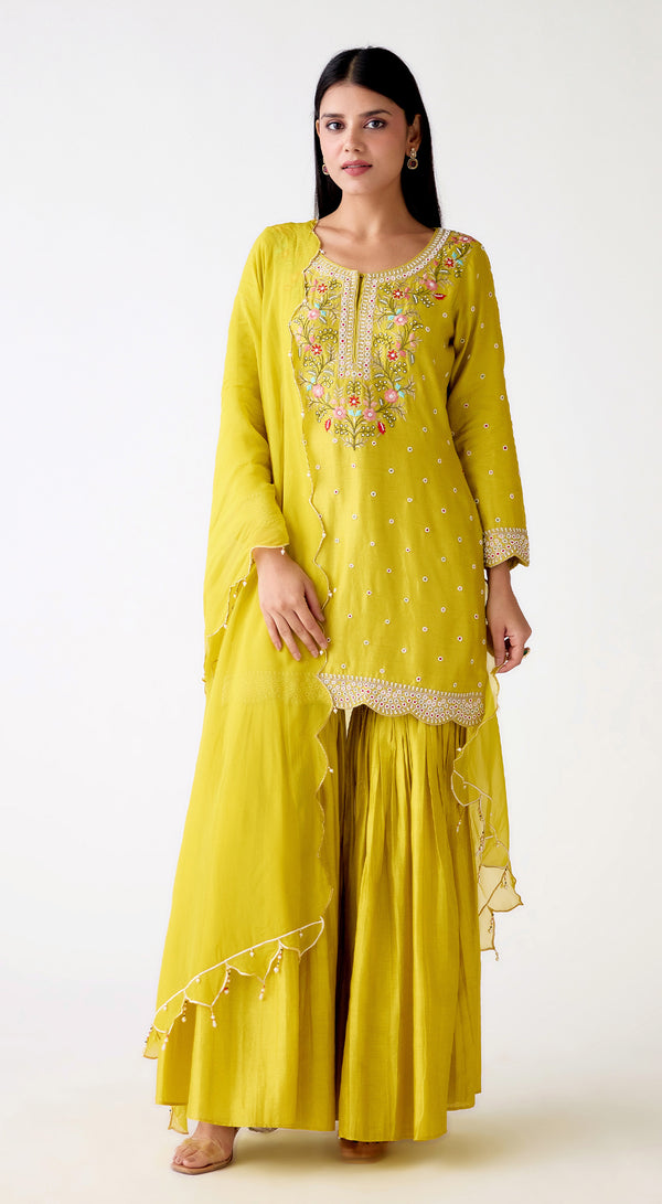 Haldi Ceremony Dresses | Designer Haldi Function Dresses – Basanti ...
