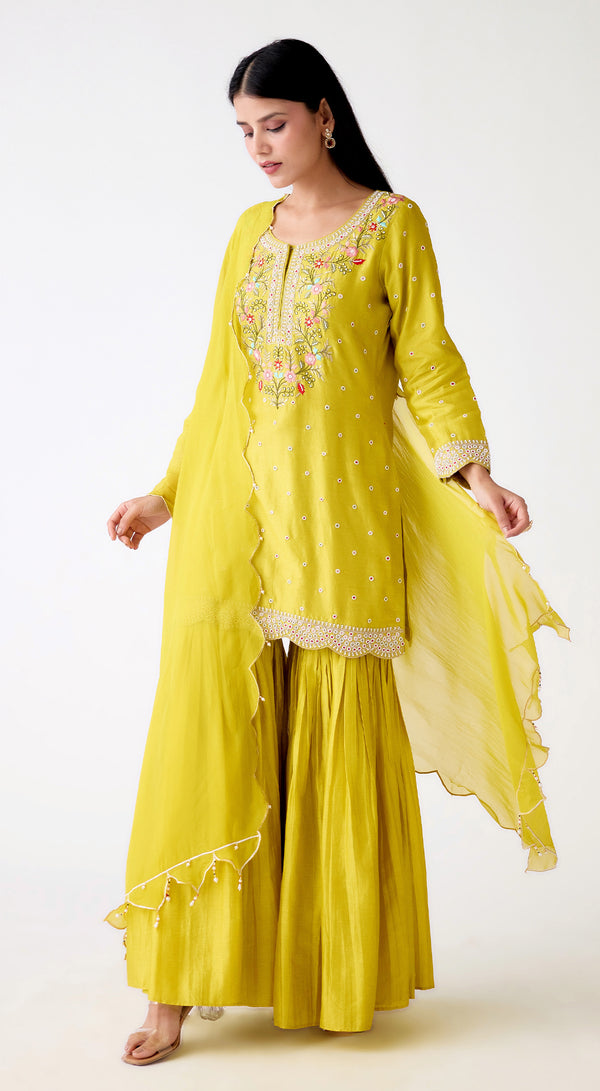 Haldi Ceremony Dresses | Designer Haldi Function Dresses – Basanti ...