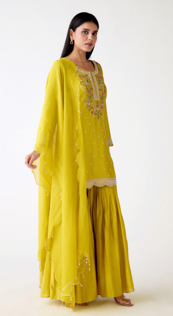 Haldi Ceremony Dresses | Designer Haldi Function Dresses – Basanti ...